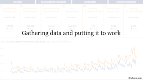 ECONOMIC INSIGHTS AND DATA RESOURCES: Gathering Data